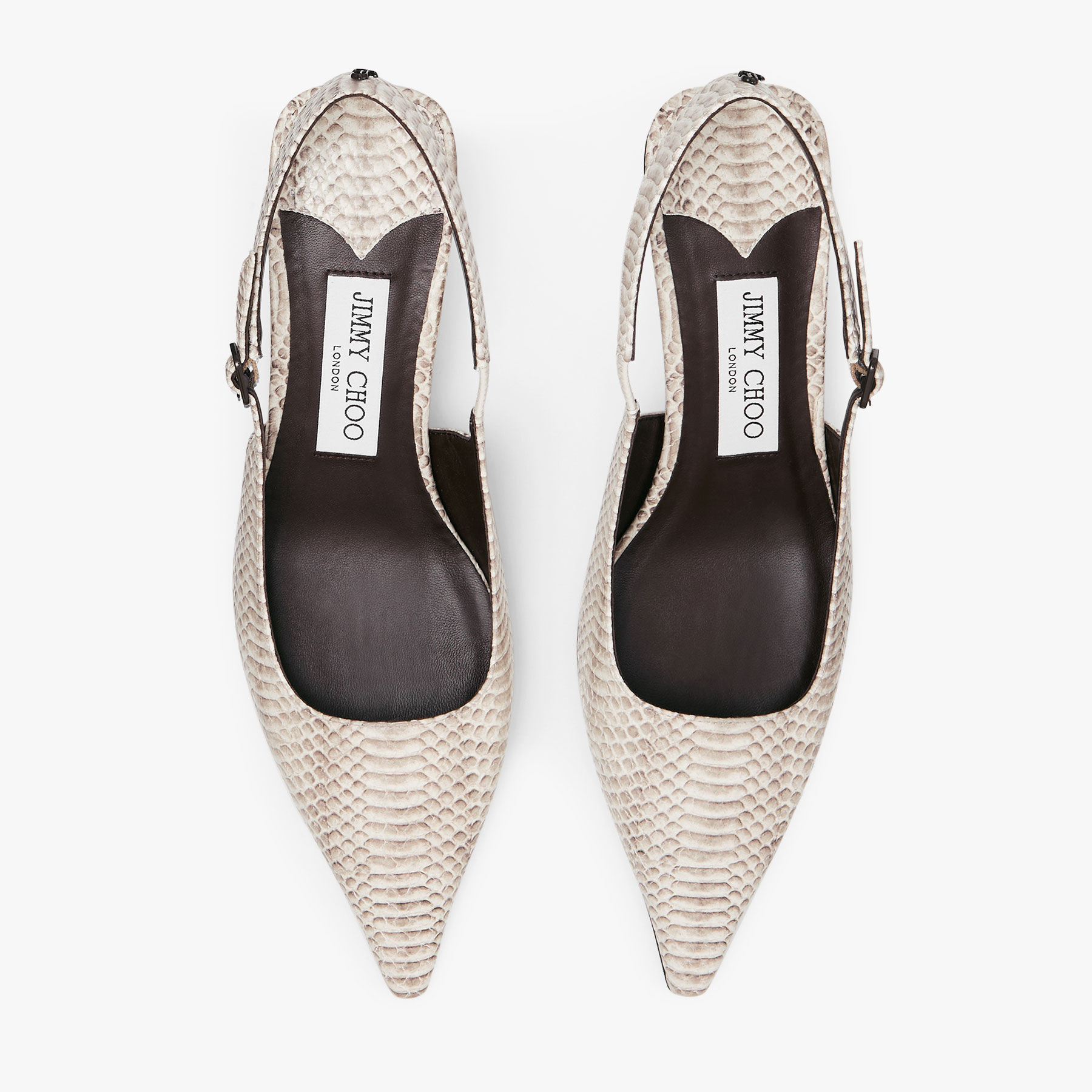Amel 50 | Roccia Snake Print Leather Pumps | JIMMY CHOO