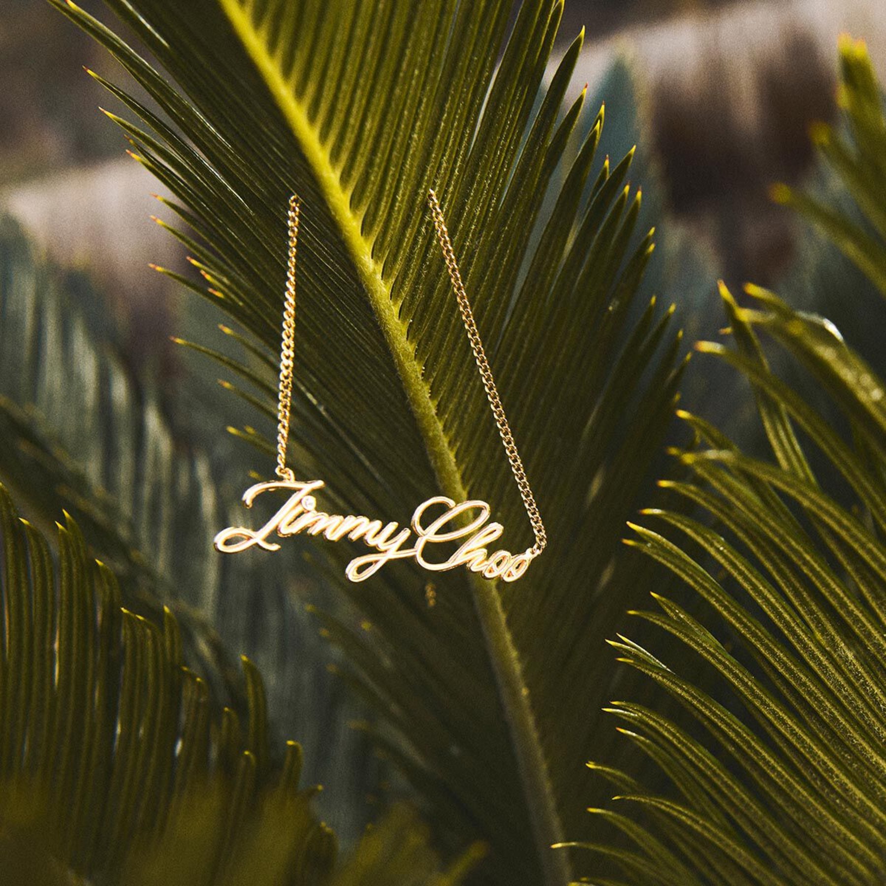 Logo Script Necklace| Gold Finish Script Necklace | JIMMY CHOO